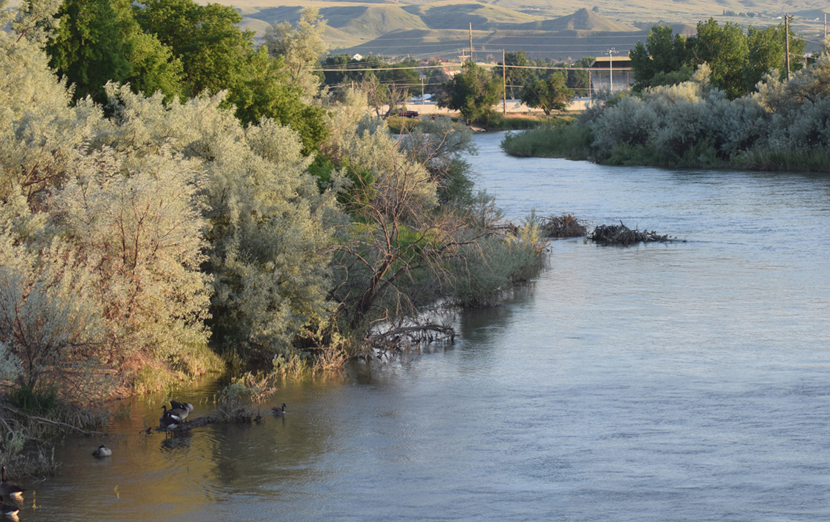 Mills River Front Study